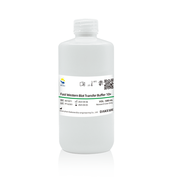 Fast Western Blot Transfer Buffer 10x | Rapid Protein Transfer Buffer - Biofargo