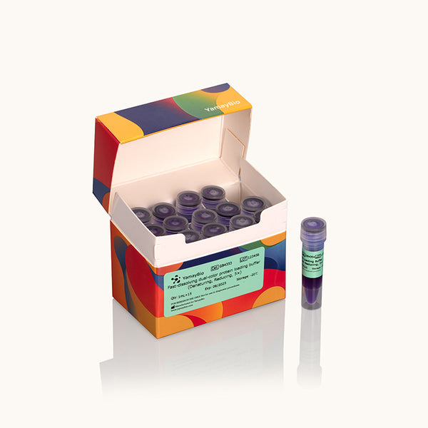 Fast-dissolving Dual-color Protein Loading Buffer | Odorless 5× Reducing - Biofargo