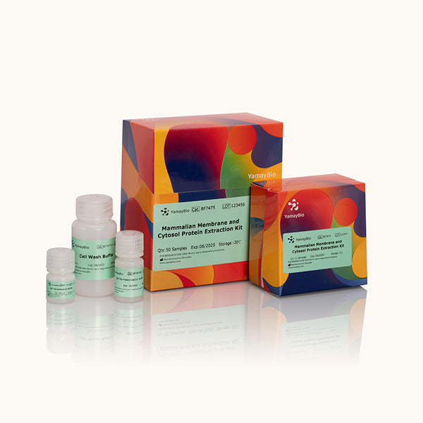 Animal Membrane and Cytosol Protein Extraction Kit | Efficient High ...