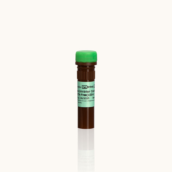 Protease Inhibitor Cocktail - 9-Inhibitor Liquid, EDTA-free | Yamaybio ...