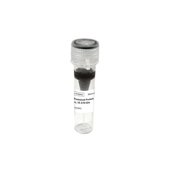 4-Color Prestained Protein Marker | Accurate Broad-Range SDS-PAGE ...