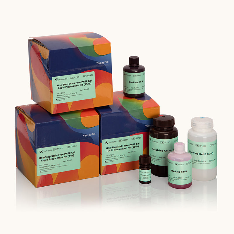 One-Step Stain Free PAGE Gel Kit - 15% Color Upper Gel Rapid Prep - Biofargo