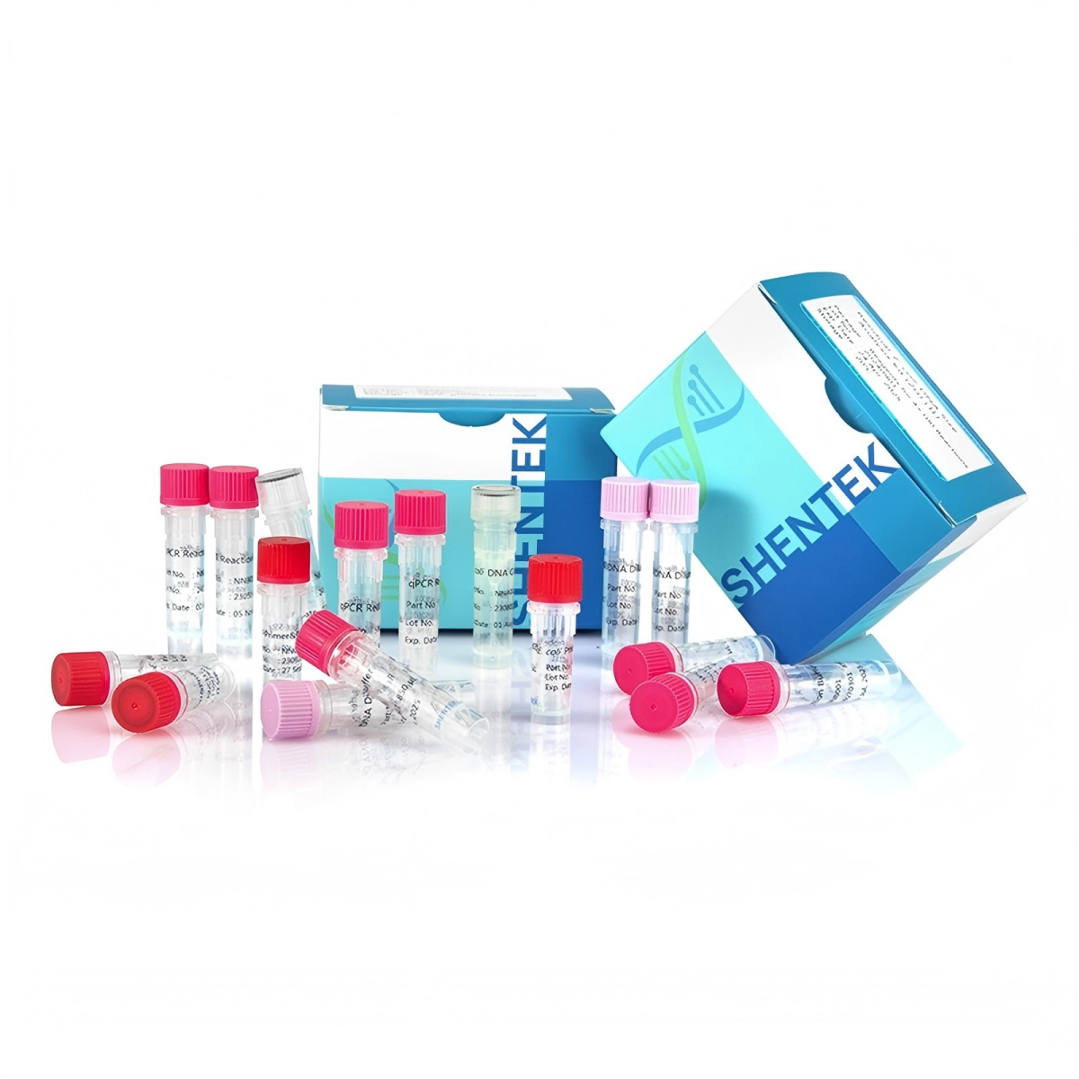 Residual E.coli DNA Size Analysis Kit - Rapid Specific Quantitative PCR ...