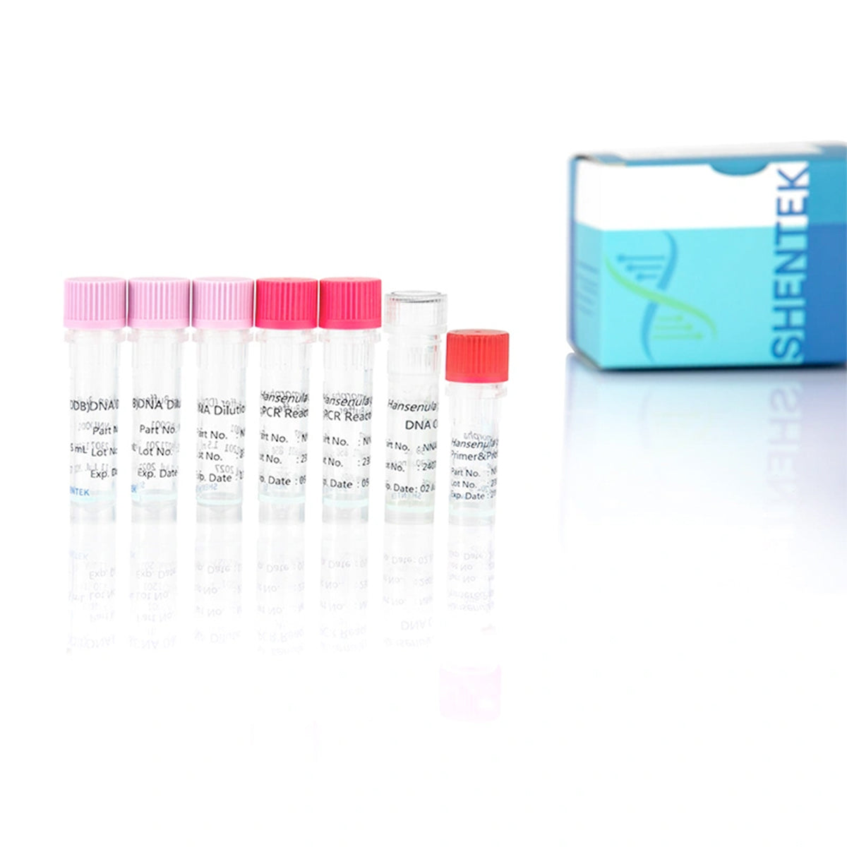 Residual Hansenula polymorpha DNA Quantitation Kit - Sensitive ...