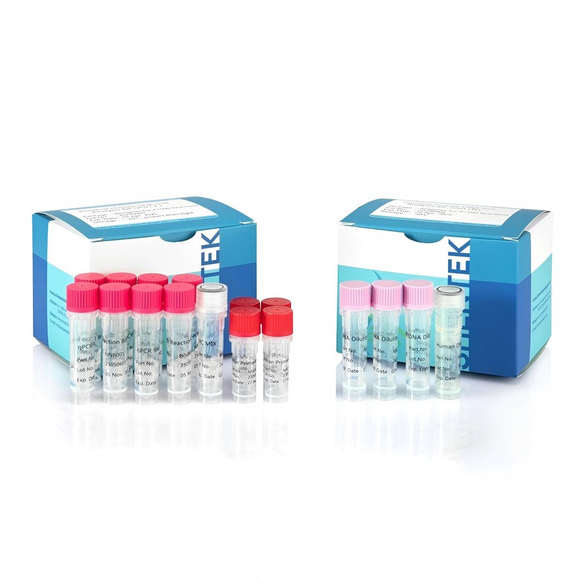 Residual Human DNA Size Analysis Kit | Rapid Specific qPCR Quantitation ...