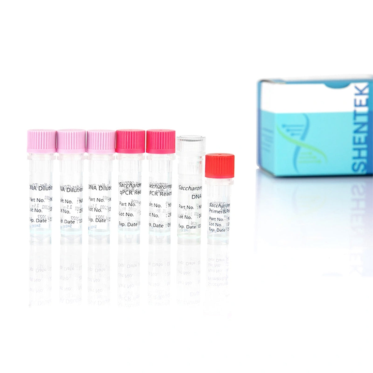 SHENTEK® Residual S. cerevisiae DNA Kit | Ultra-sensitive qPCR ...