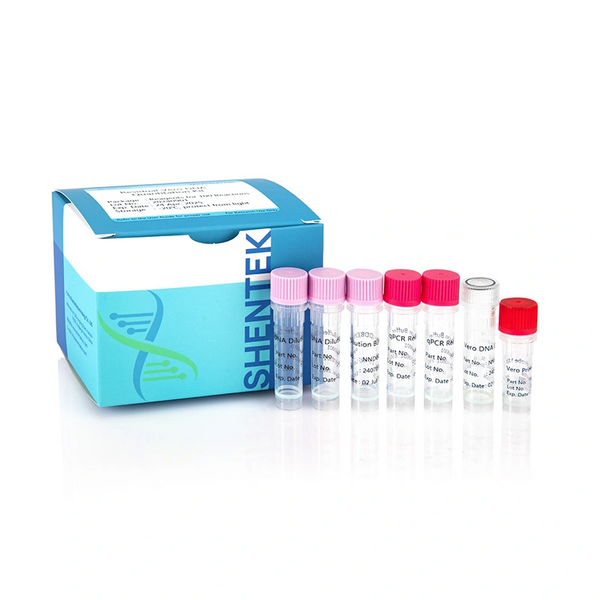 SHENTEK™ Residual Vero DNA Kit | Sensitive qPCR Quantitation for ...
