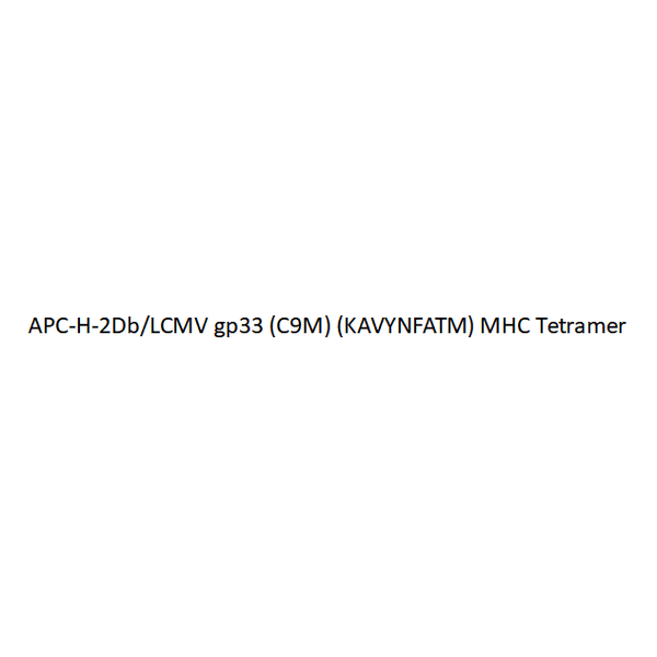 APC-H-2Db/LCMV gp33 MHC Tetramer | Specific Mouse CD8 T Cell ...