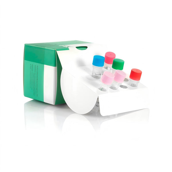 Vesivirus 2117 Detection Kit - Sensitive Rapid RT-qPCR Test - Biofargo