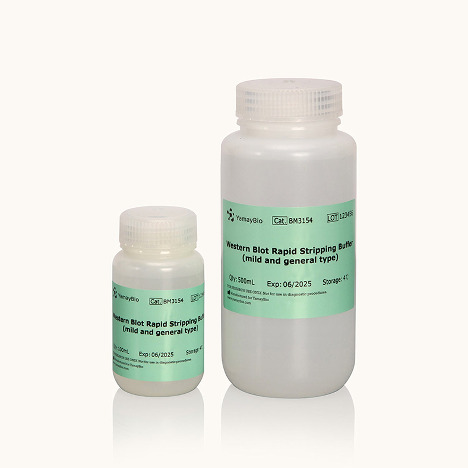 Western Blot Rapid Stripping Buffer - Mild Efficient Membrane Stripping ...