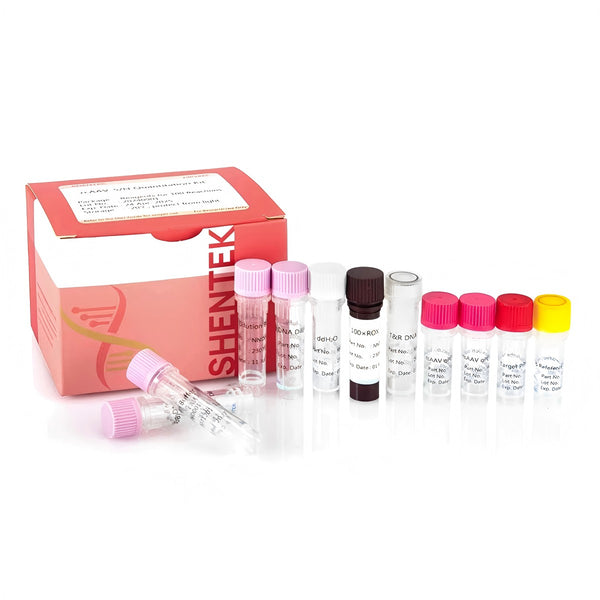 rcAAV-5/N Quantitation Kit - Accurate rcAAV Contamination Detection ...