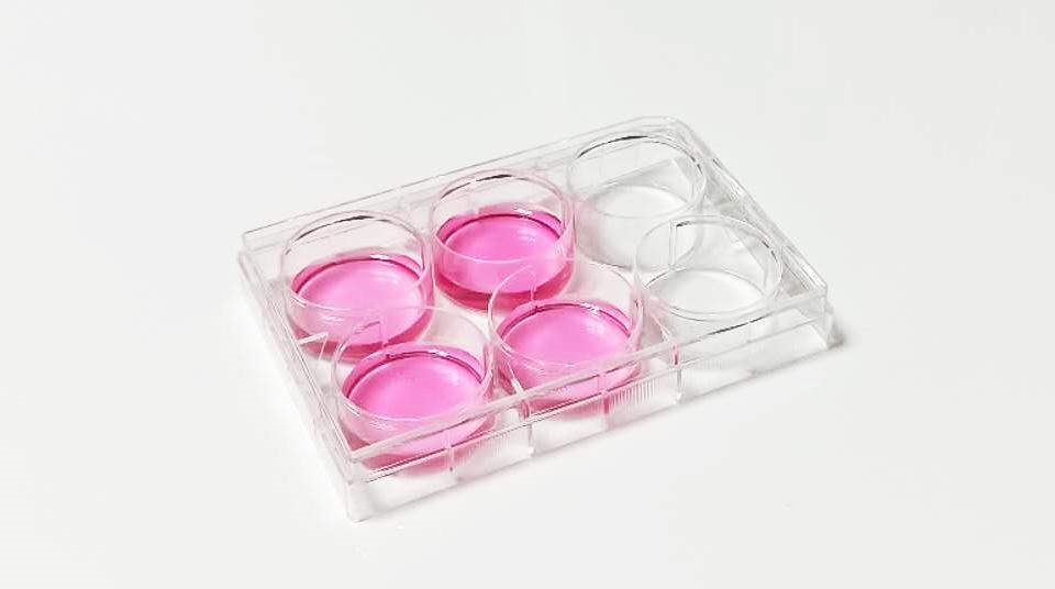 96 Well Polystyrene Cell Culture Plate | Contamination-Resistant ...